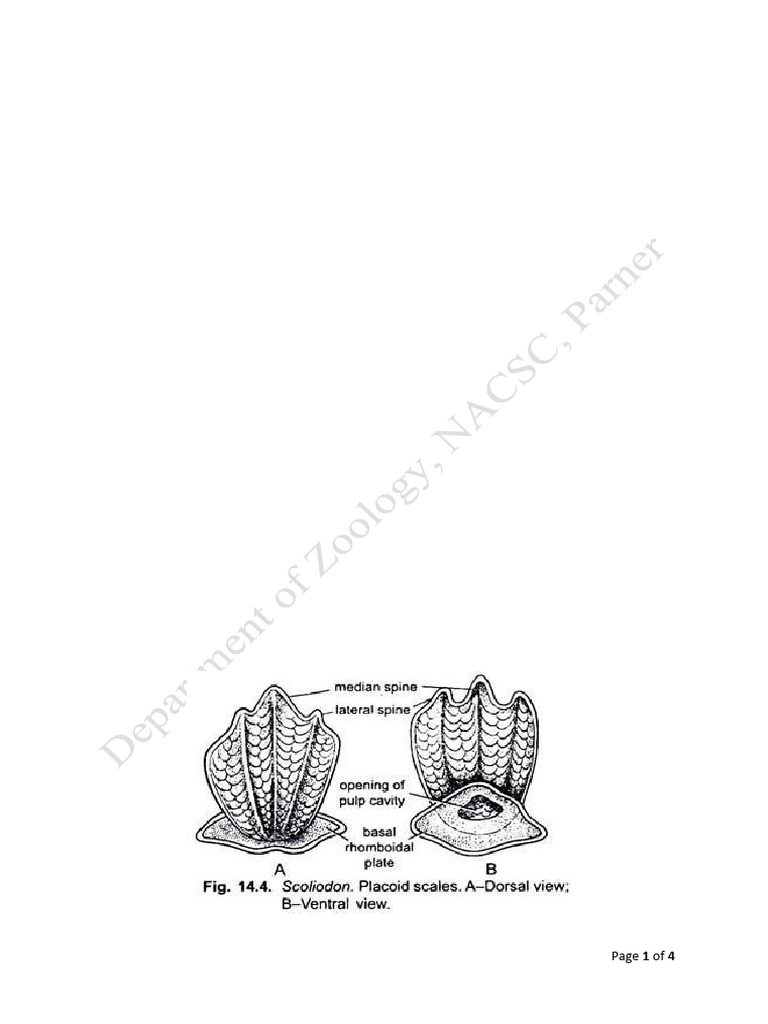 Temporary Preparation of Scales & Its Identification | PDF