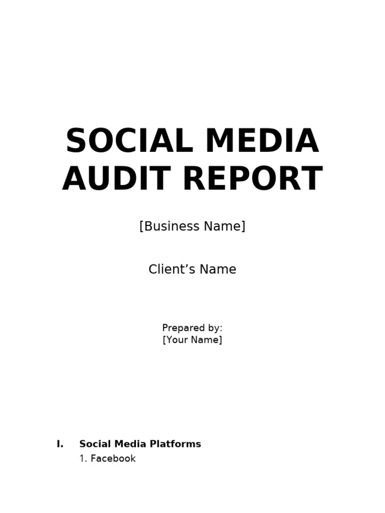 Social Media Audit Insights Report | PDF