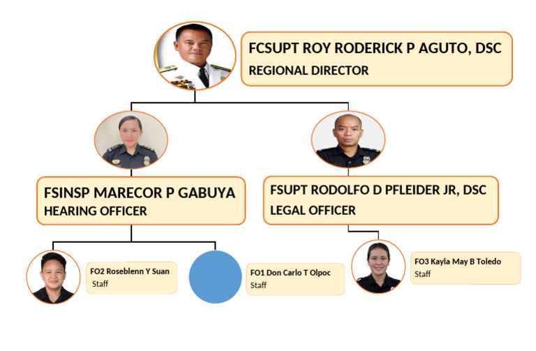 Legal Flowchart | PDF