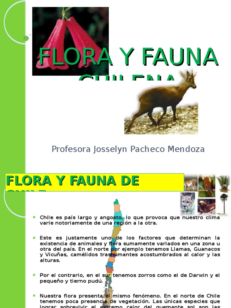 Flora y Fauna Chilena | PDF