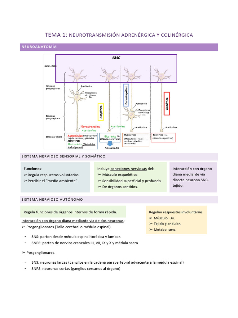 Todo Farma 2 | PDF