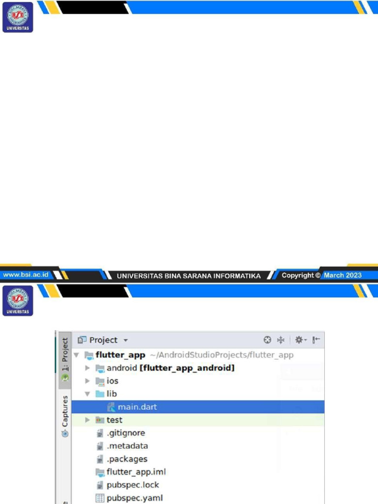 Pertemuan 4: Struktur Folder Flutter | PDF