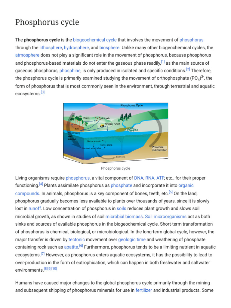 Phosphorus Cycle Wikipedia | PDF | Eutrophication | Social Science