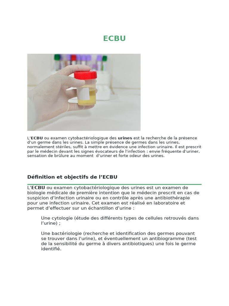 ECBU | PDF