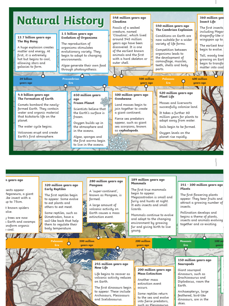 t2 H 6017 Natural History Timeline Display Poster - Ver - 2 | PDF