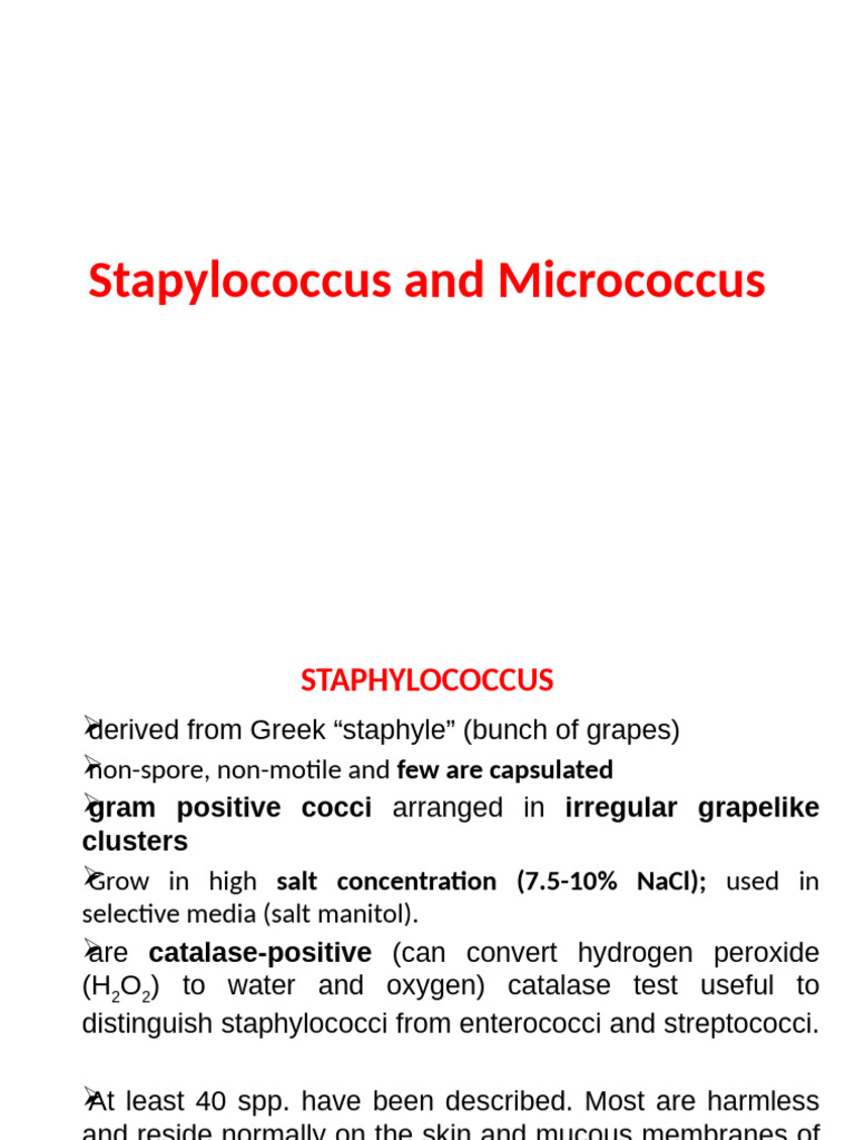 Mku Staphylococcus | PDF | Staphylococcus | Wellness