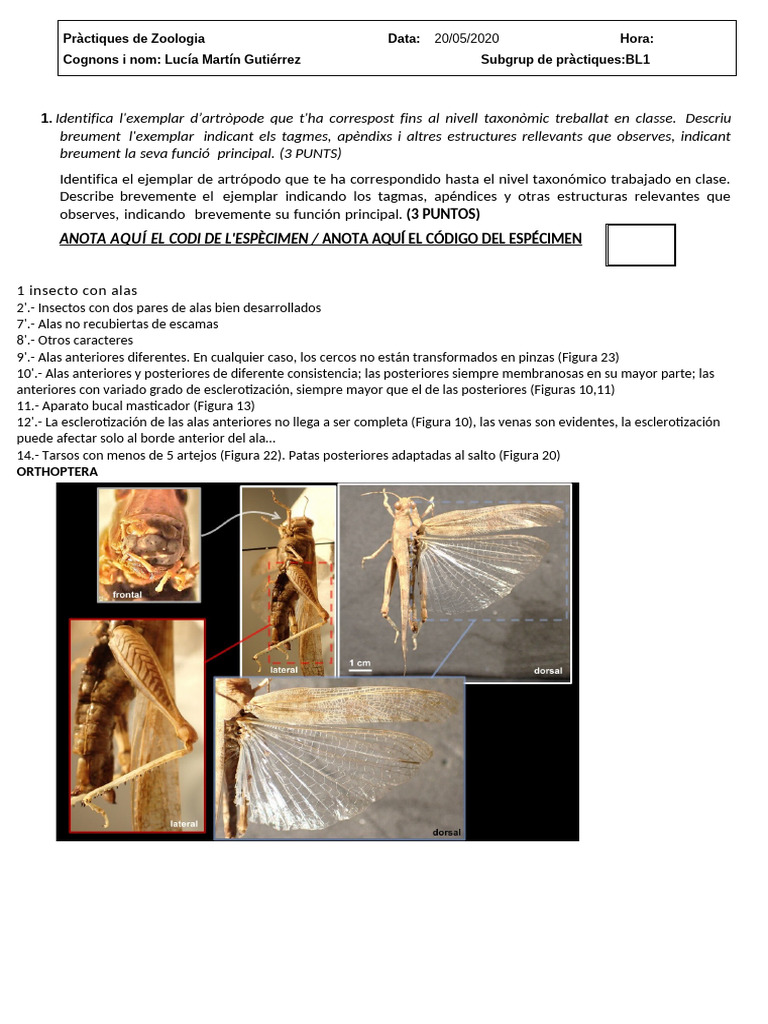 20MAIG EXFinal Pràct 2P 2020 FINAL | PDF