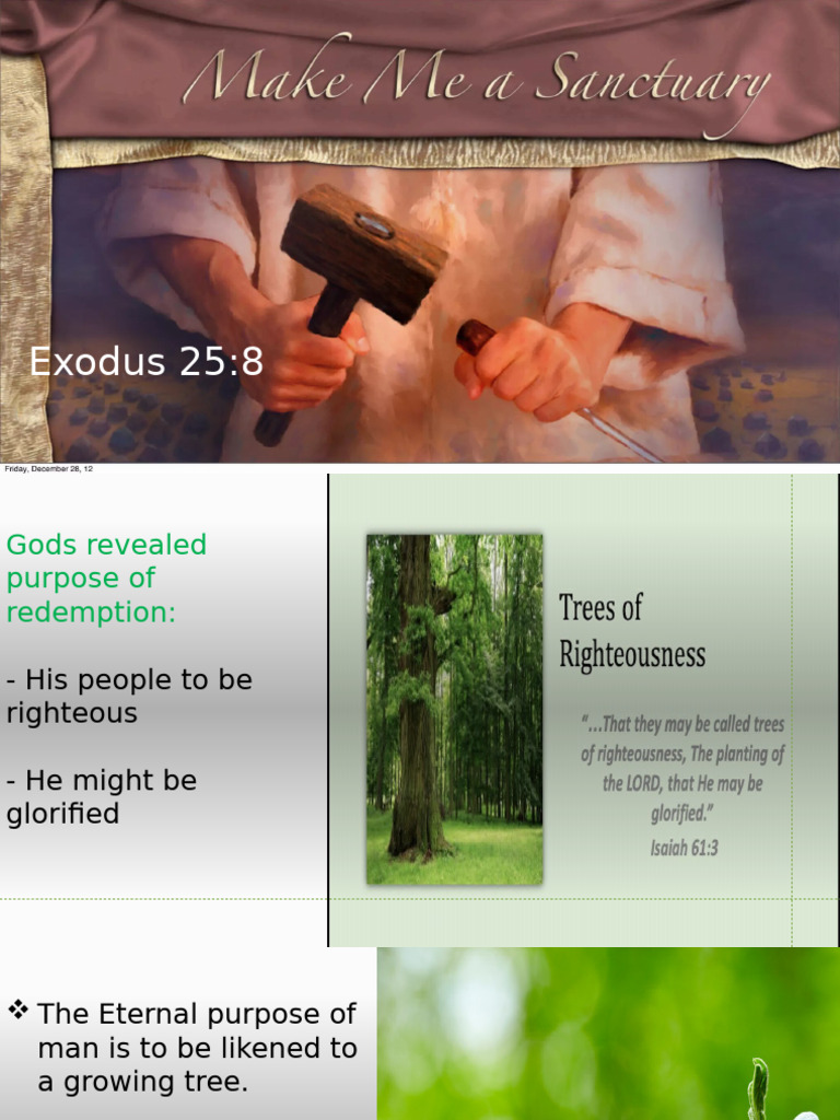 The Sanctuary Message | PDF