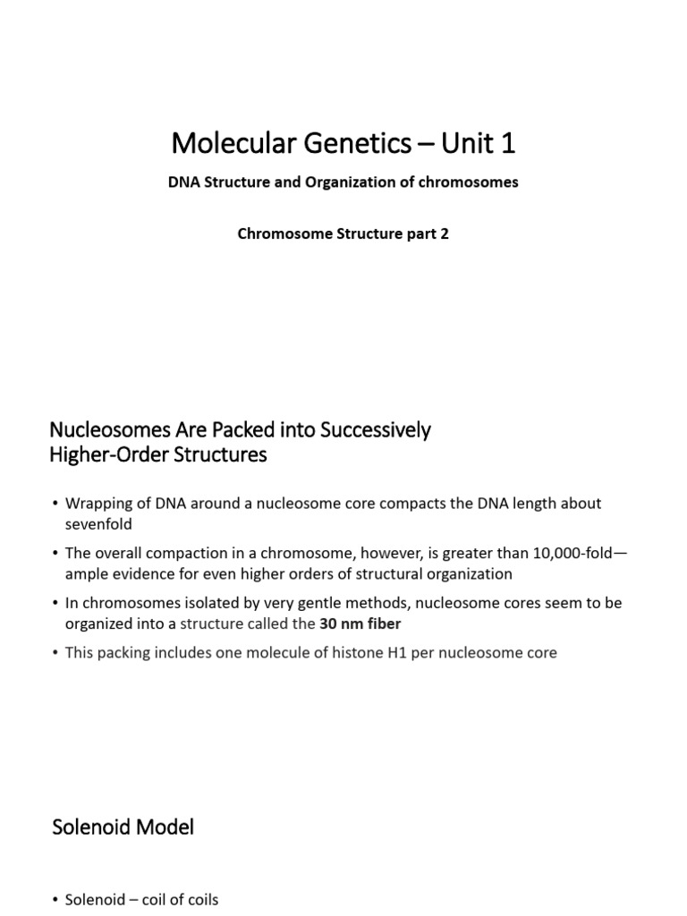 03 - Molecular Genetics - Unit 1 Chromosome Structure Part 2 | PDF