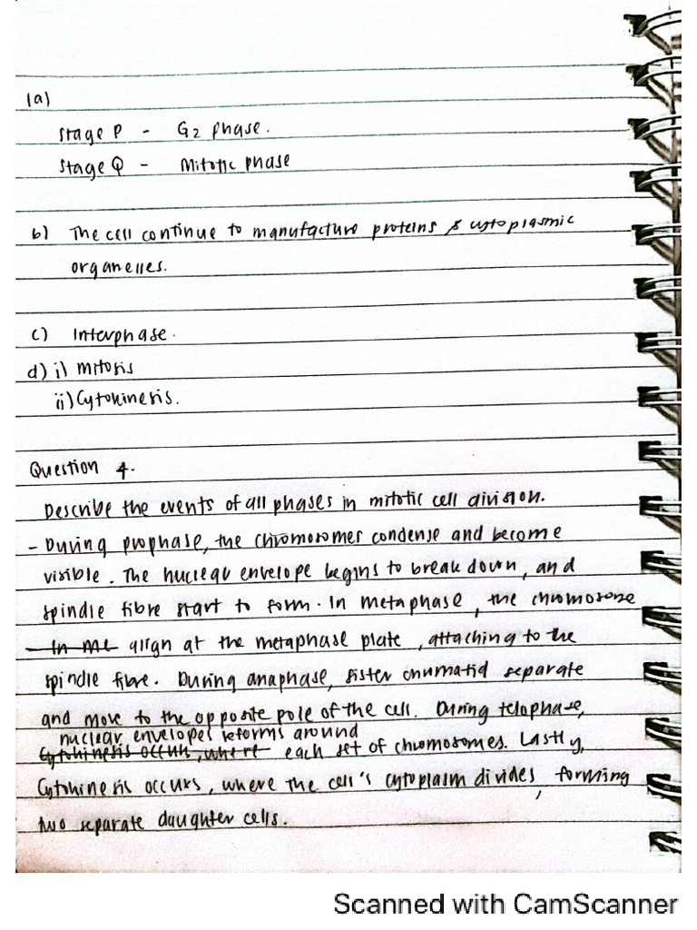 Bio Tutorial Chap 3 Adriana | PDF