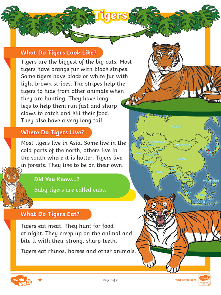 Tigers Reading Comprehension | PDF