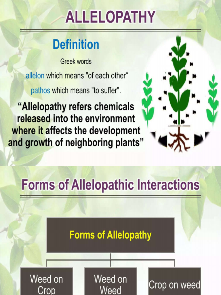 Allelopathy | PDF