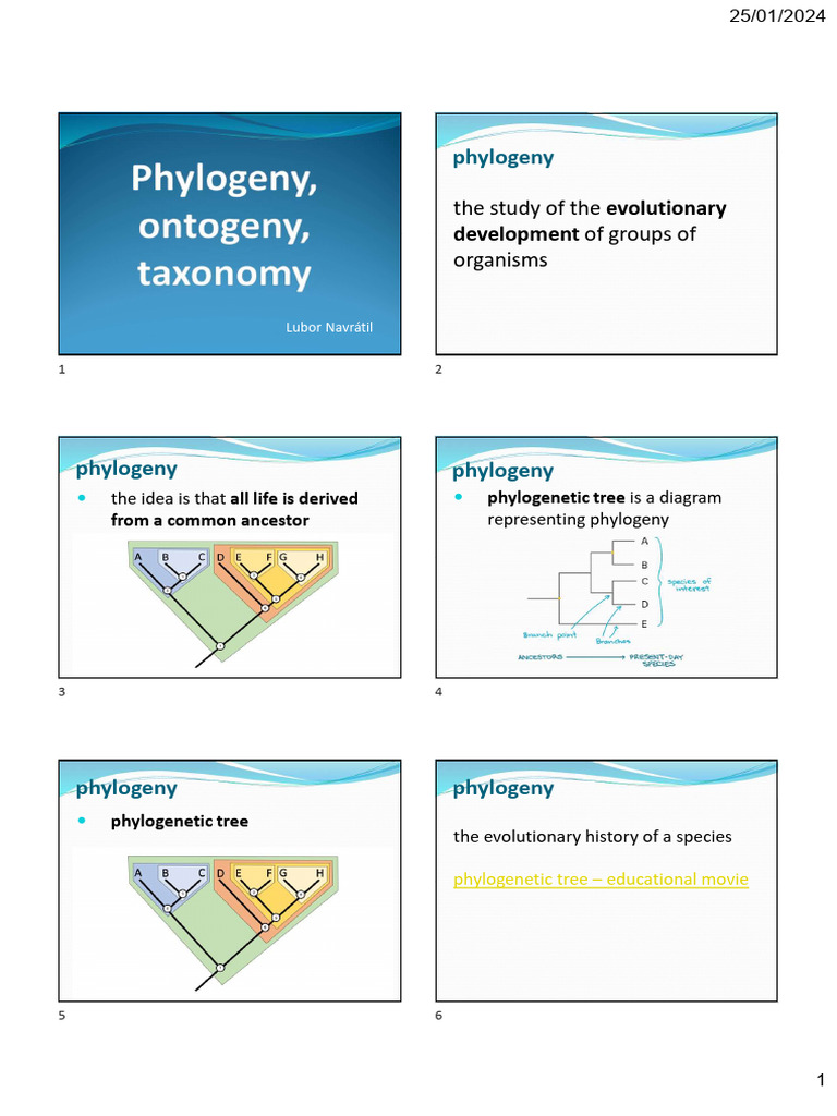 Phylogeny Ontogeny Taxonomy | PDF