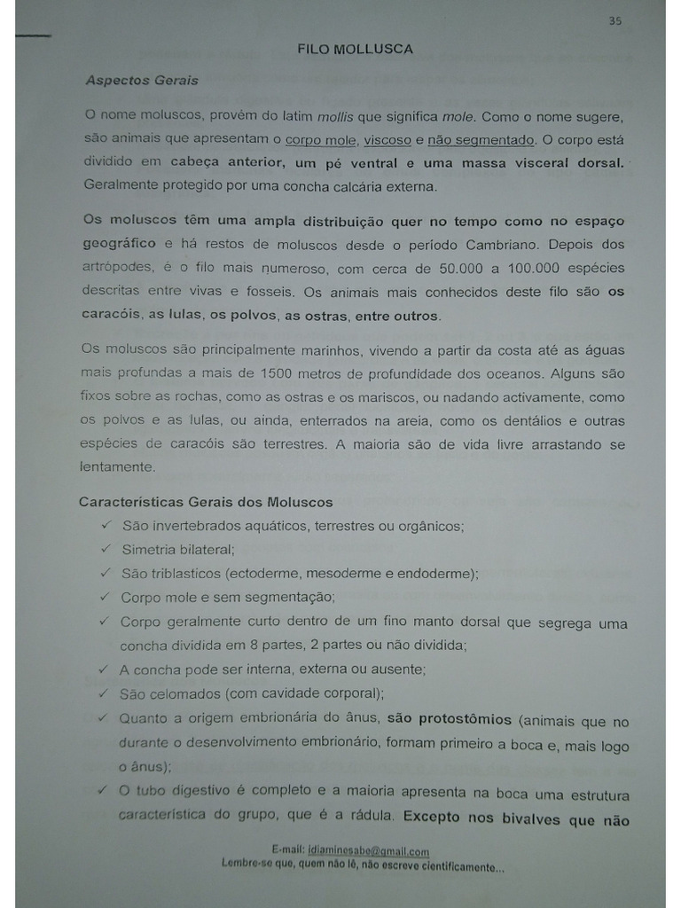 Ficha Filo Mollusca | PDF