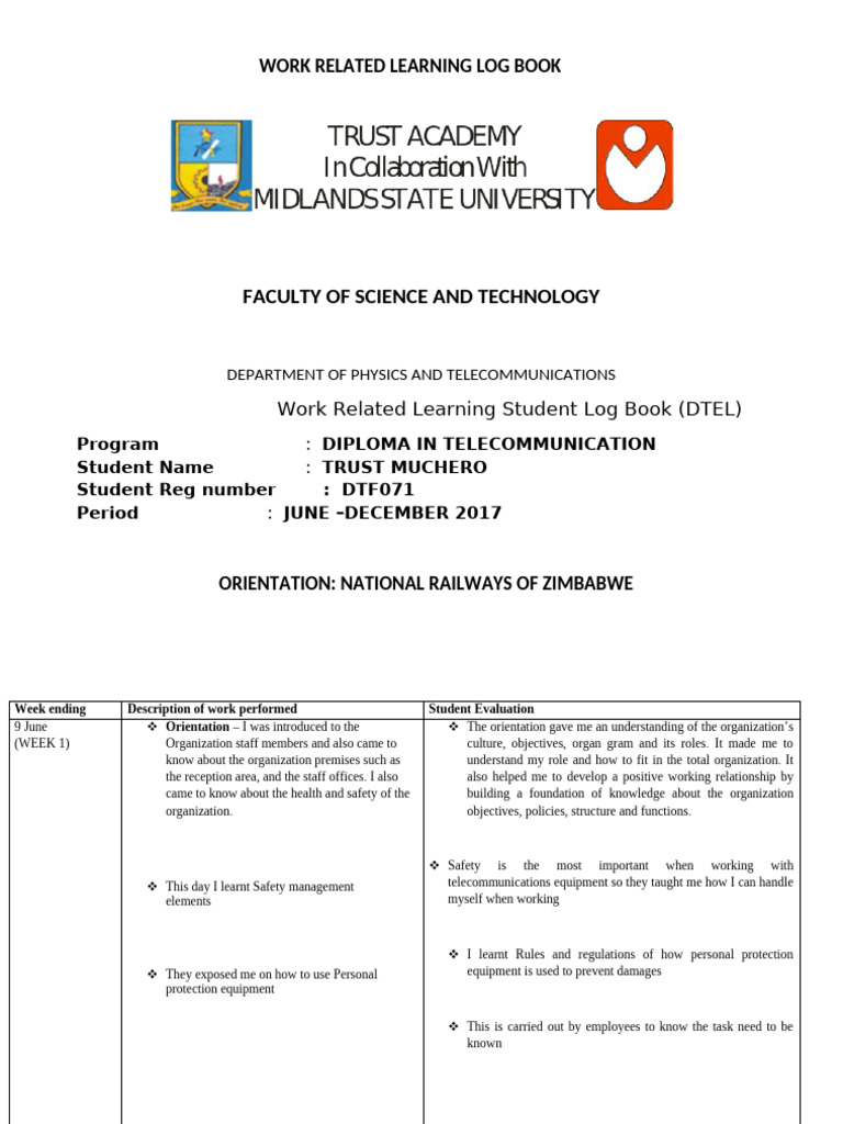 Work Related Learning Log Book MR Muchero | PDF