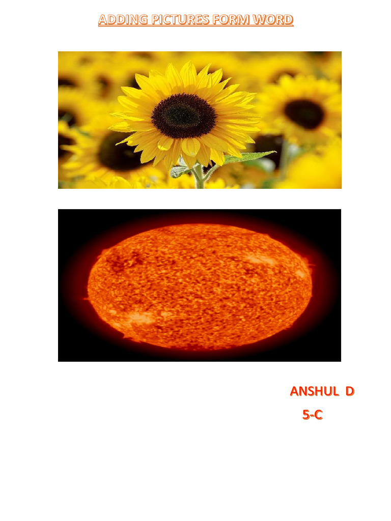 ANSHUL WORD (Recovered) 5 | PDF