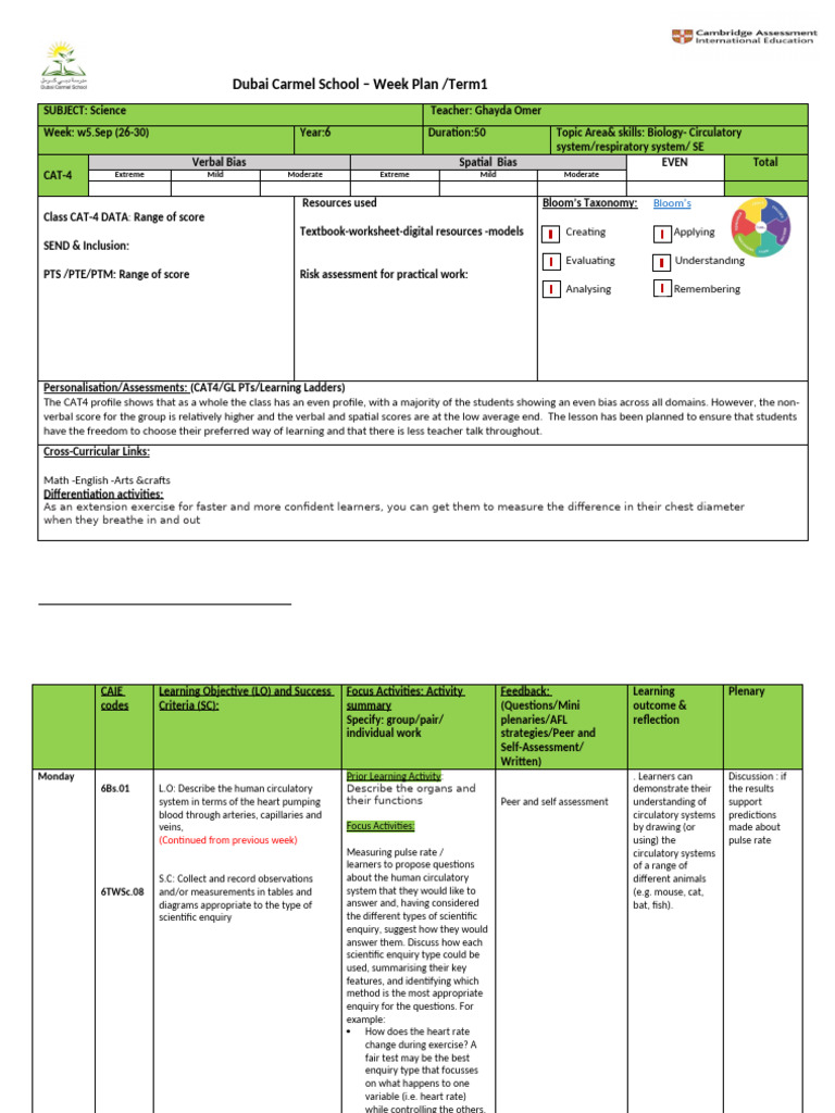 W5.sep - Week Plan Y6 | PDF