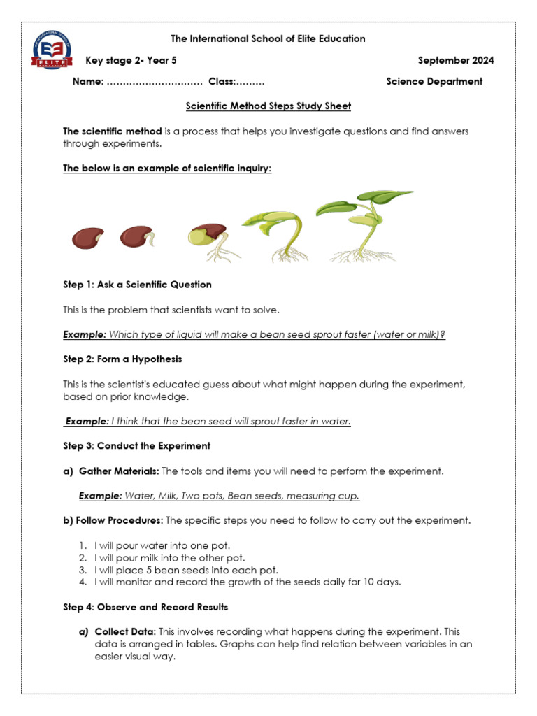 Scientific Method Study Sheet | PDF
