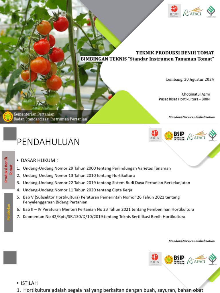 02 Teknik Produksi Benih Tomat | PDF