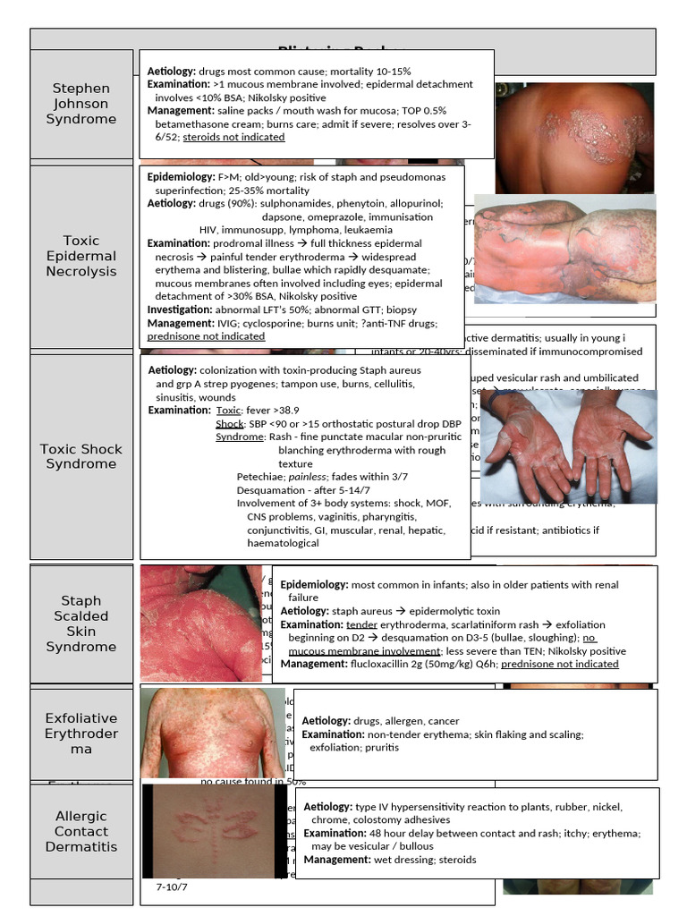 Blistering Rashes | PDF