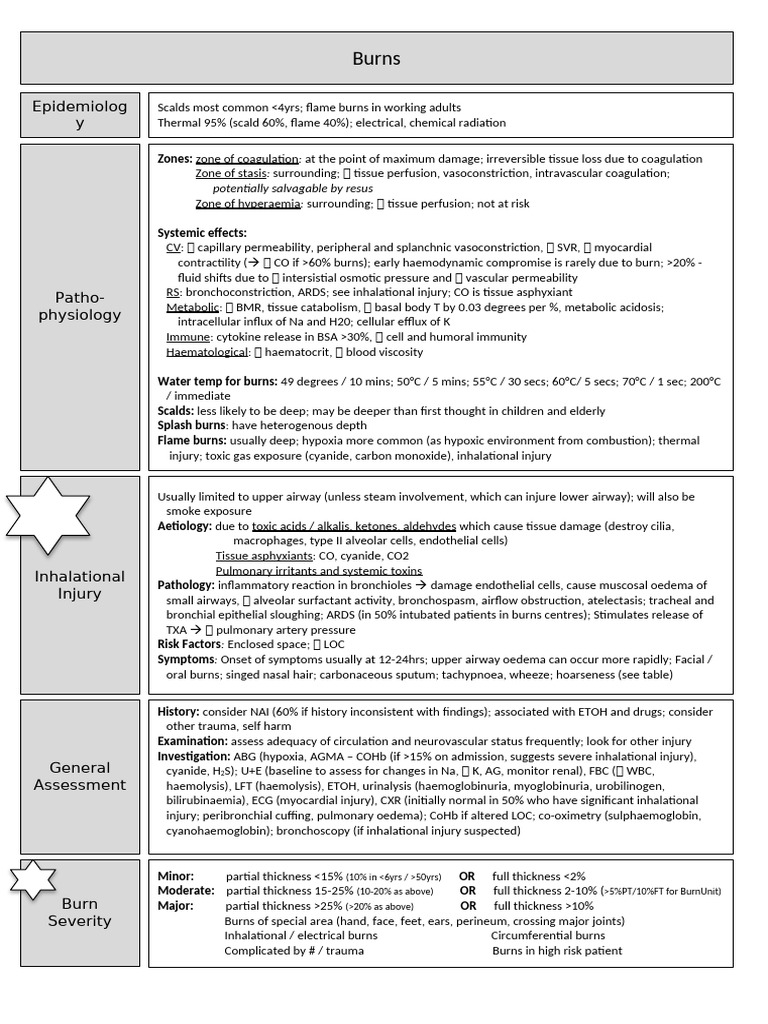 Burns | PDF