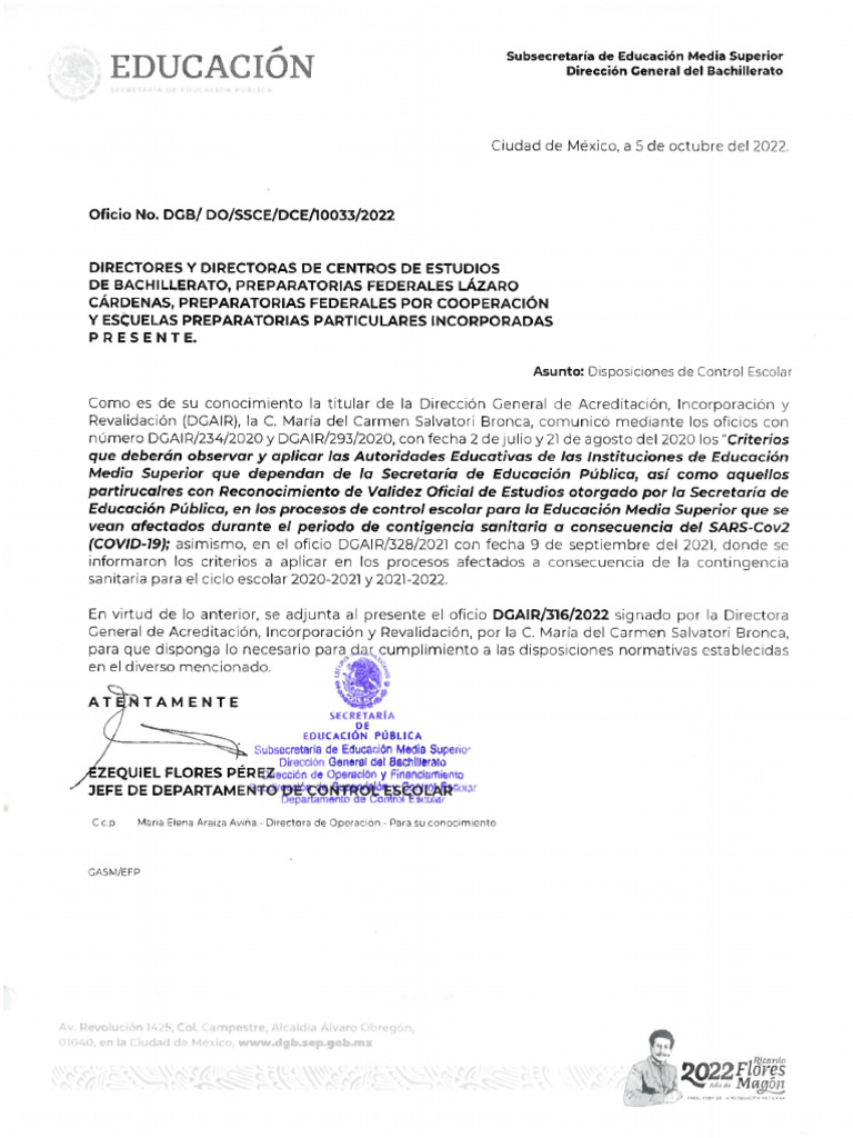 VtrYGaICid DCE 10033 2022 | PDF