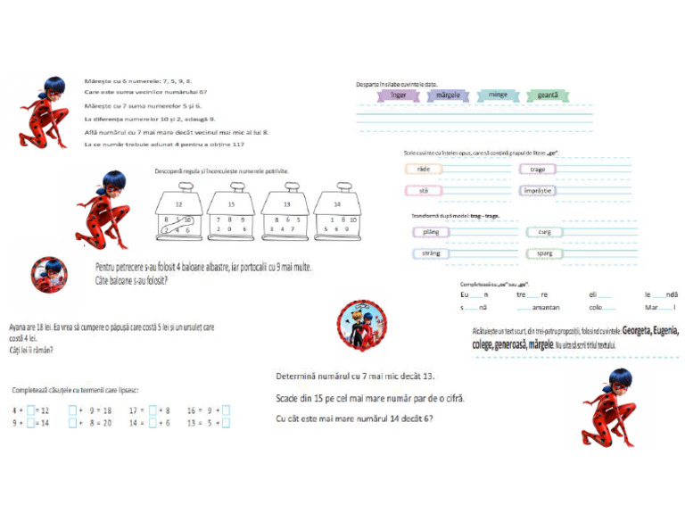 Fisa Mate Si CLR Cls 1 | PDF