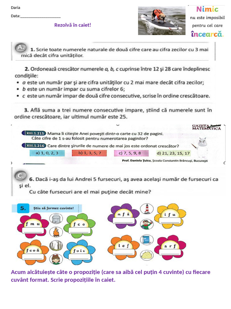 Fisa 2 CLR Si Mate Cls 1 | PDF