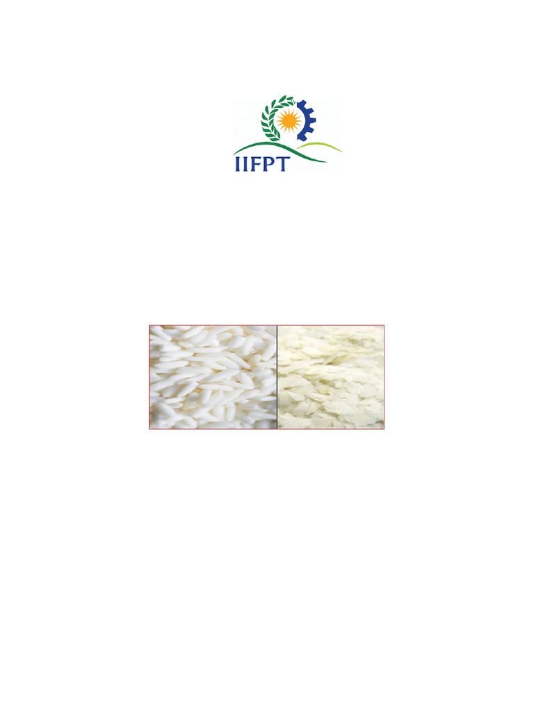 Rice Based Product DPR | PDF