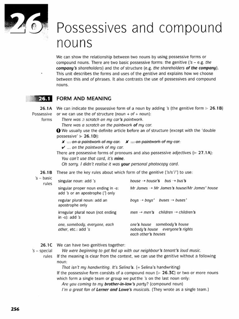 Possessives Theory | PDF