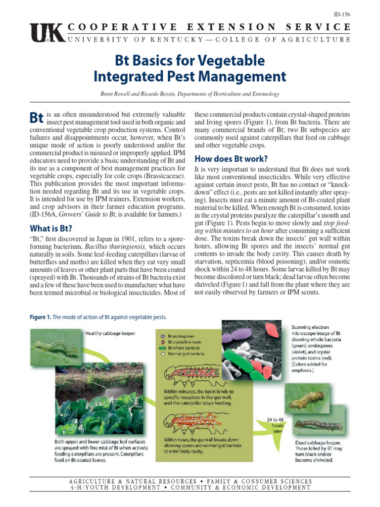 BT Basics For Vegetable Integrated Pest Management: How Does BT Work? | PDF