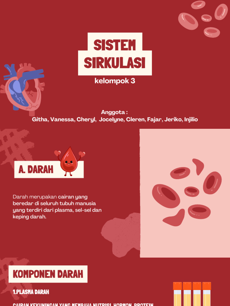 Sistem Sirkulasi-Kelompok 3 - 20240926 - 214342 - 0000 | PDF
