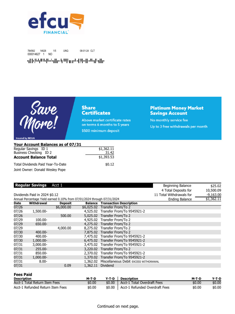 E Statement 7312024 | PDF