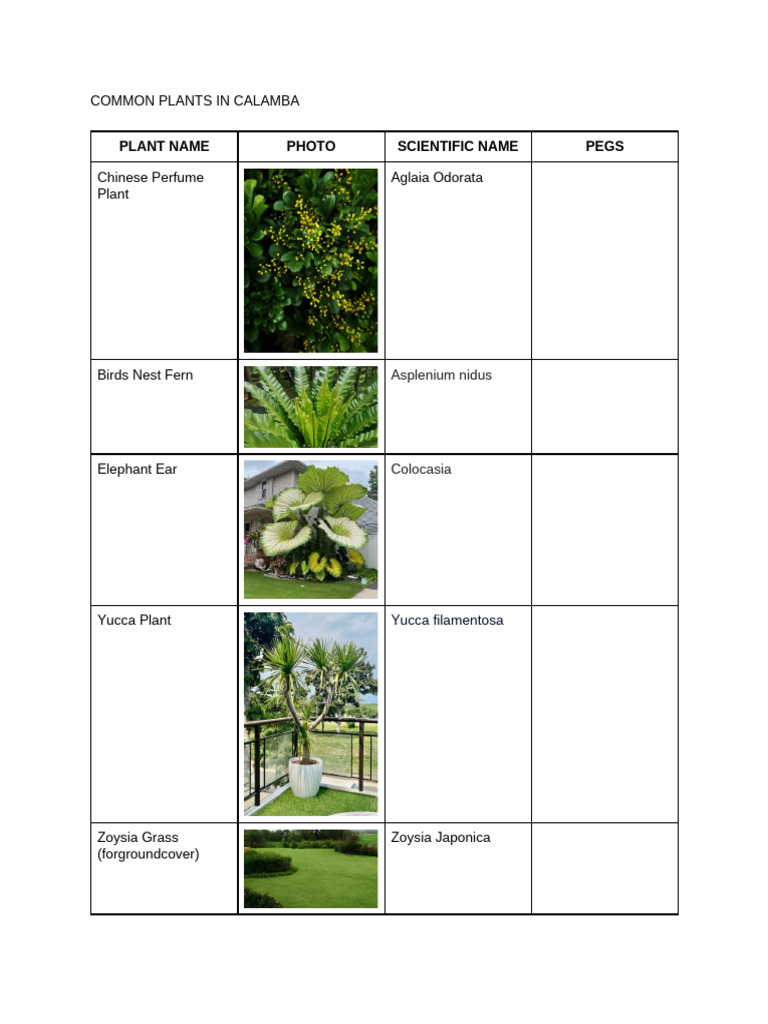 Landscape Plants | PDF | Home & Garden