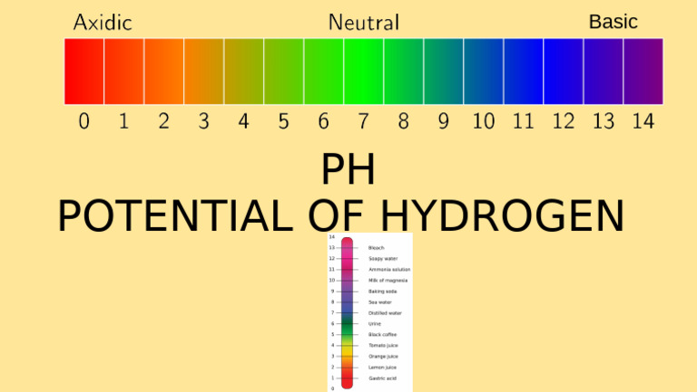 PH Potential of Hydrogen | PDF