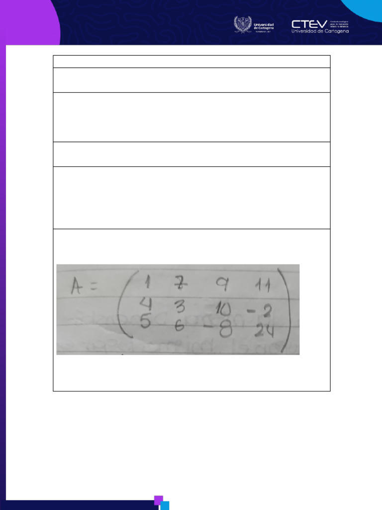 PLANTILLA PROTOCOLO INDIVIDUAL U1 | PDF