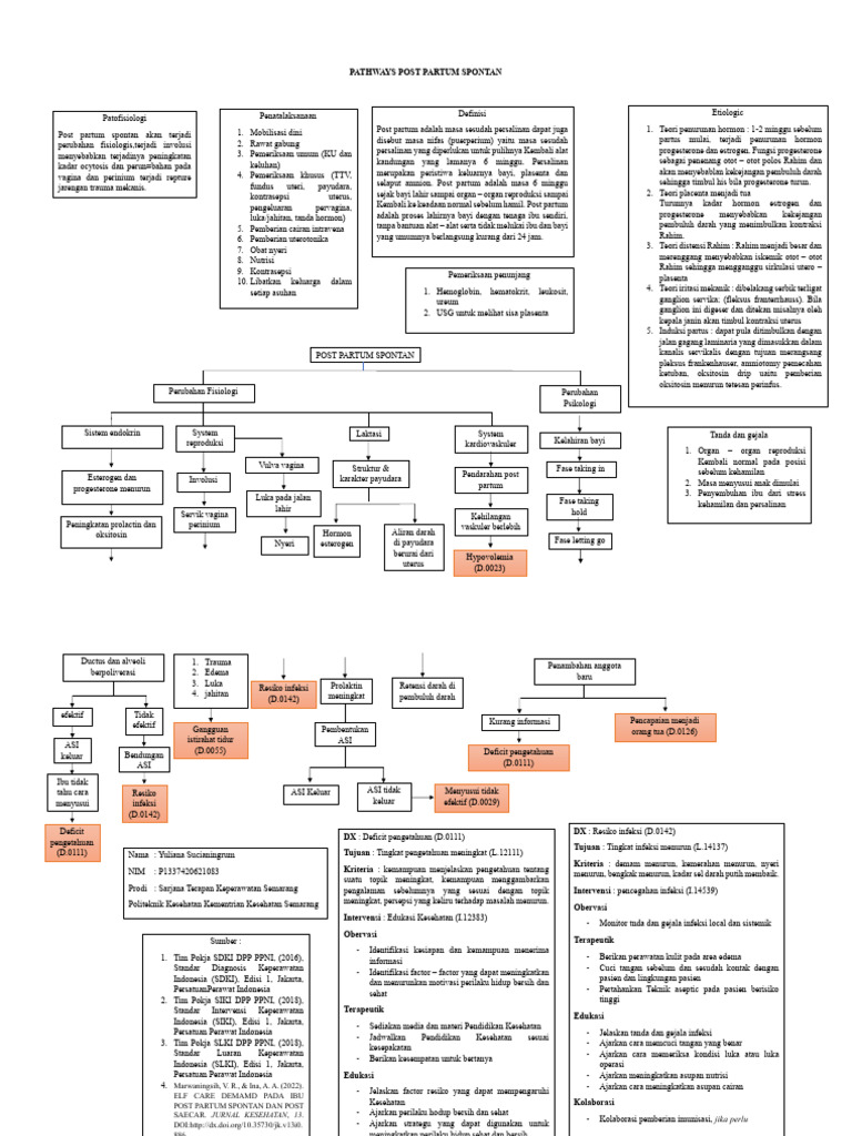 WOC Post Partum | PDF | Human Pregnancy | Women's Health