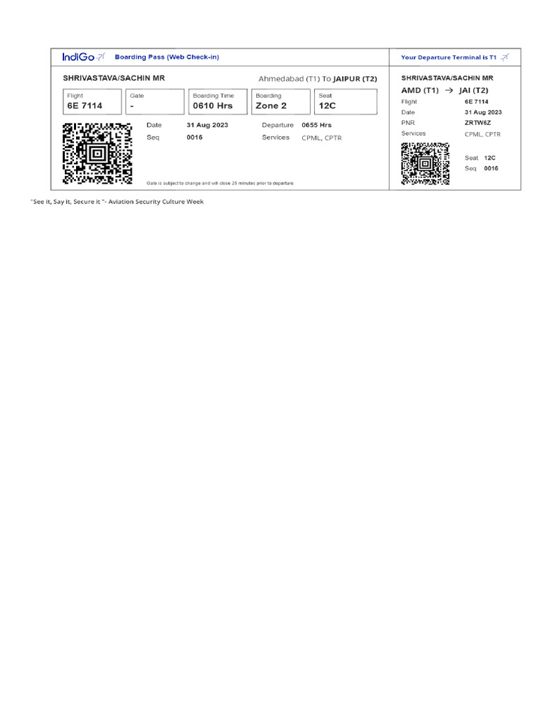 Boarding Pass | PDF