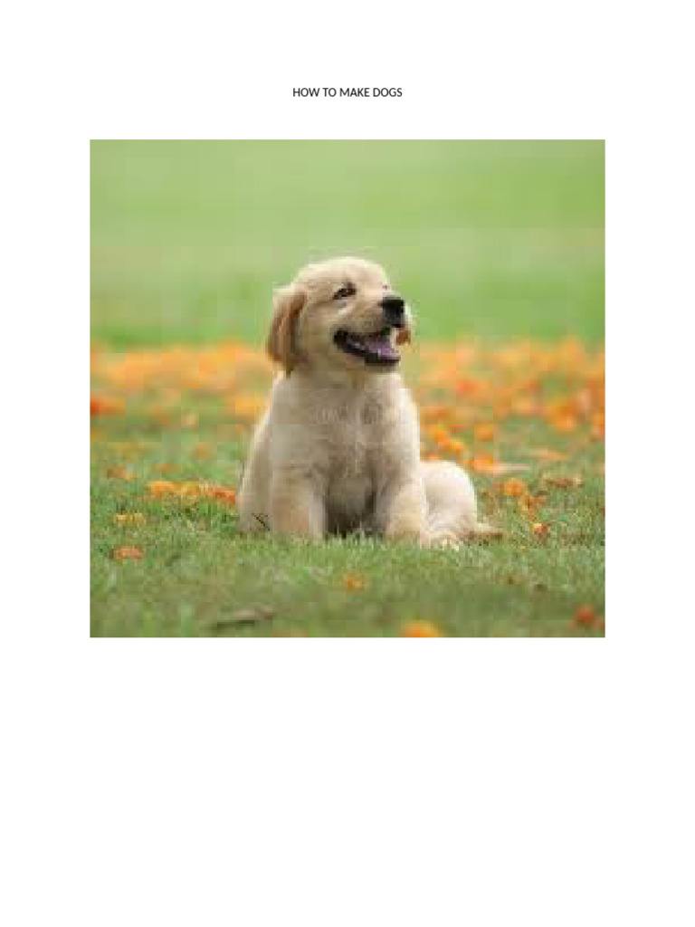 Tutorial How To Make Dogs | PDF