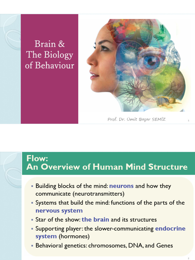 Brain & Biology of Behaviour | PDF