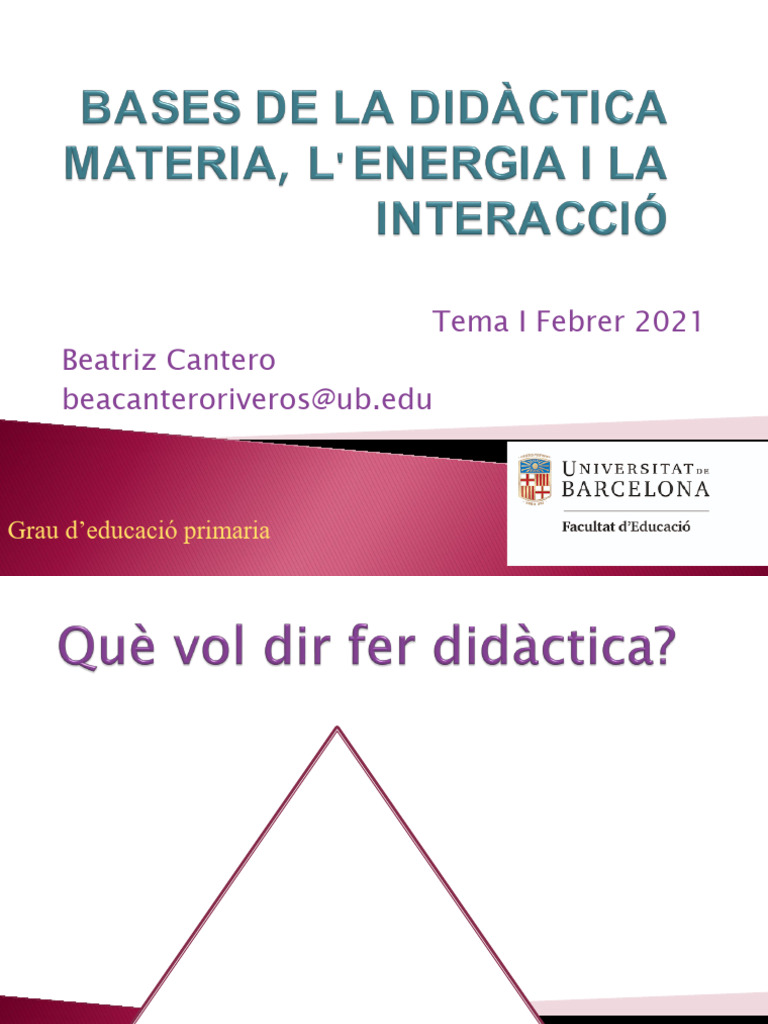 1 Bases De La Didactica Pdf