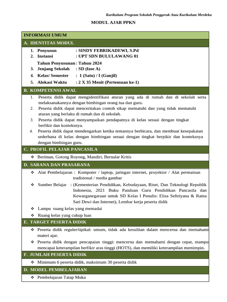 PMM Modul 2024 Alhamdulilahh | PDF