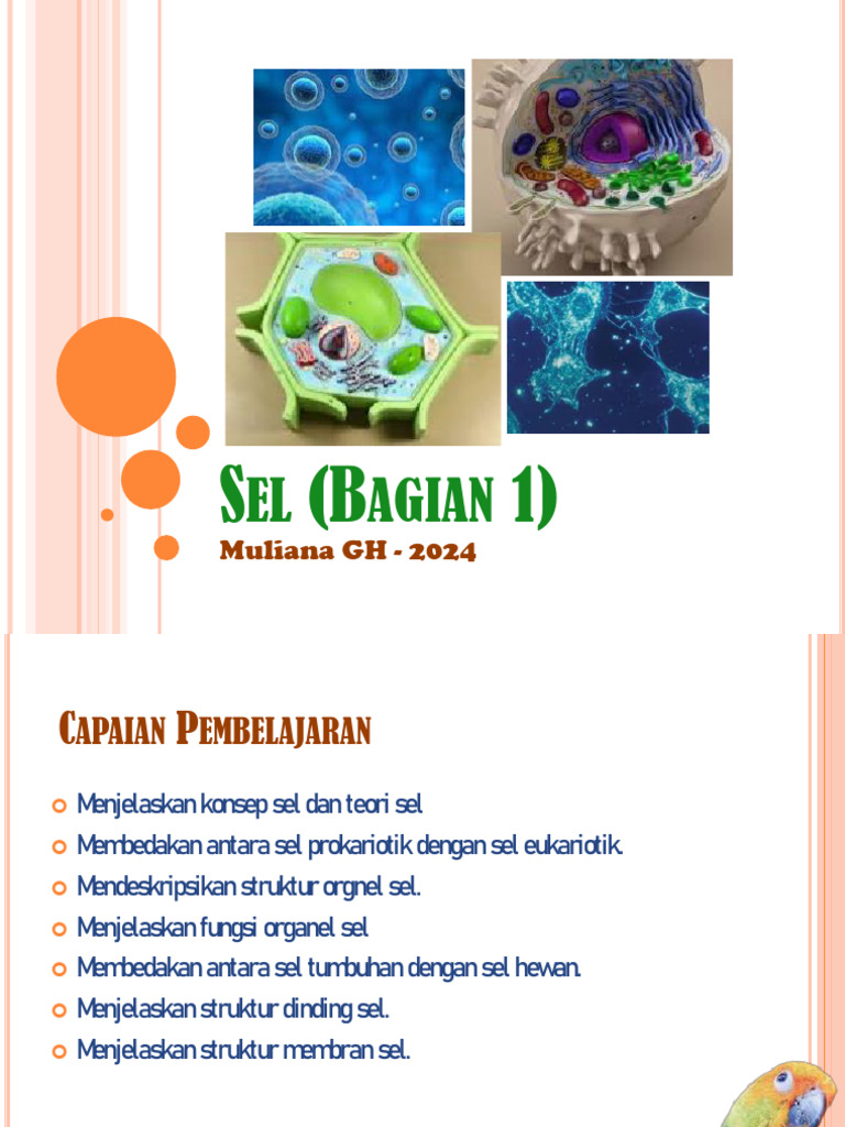 Sel (Teori Sel, Eu & Pro, Organel Sel) | PDF