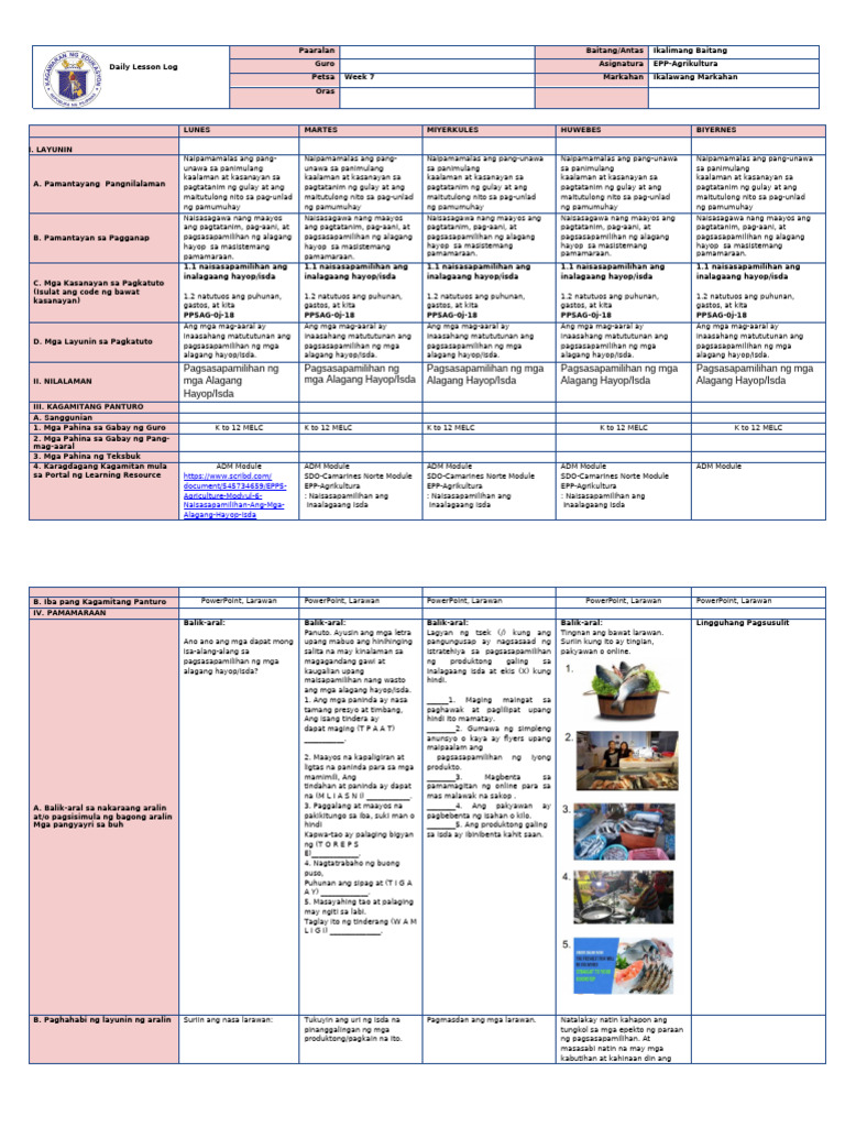 DLL Week 7 Epp | PDF