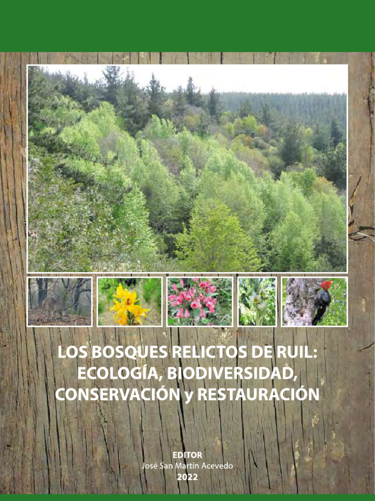 Los Bosque Relictos de Ruil | PDF