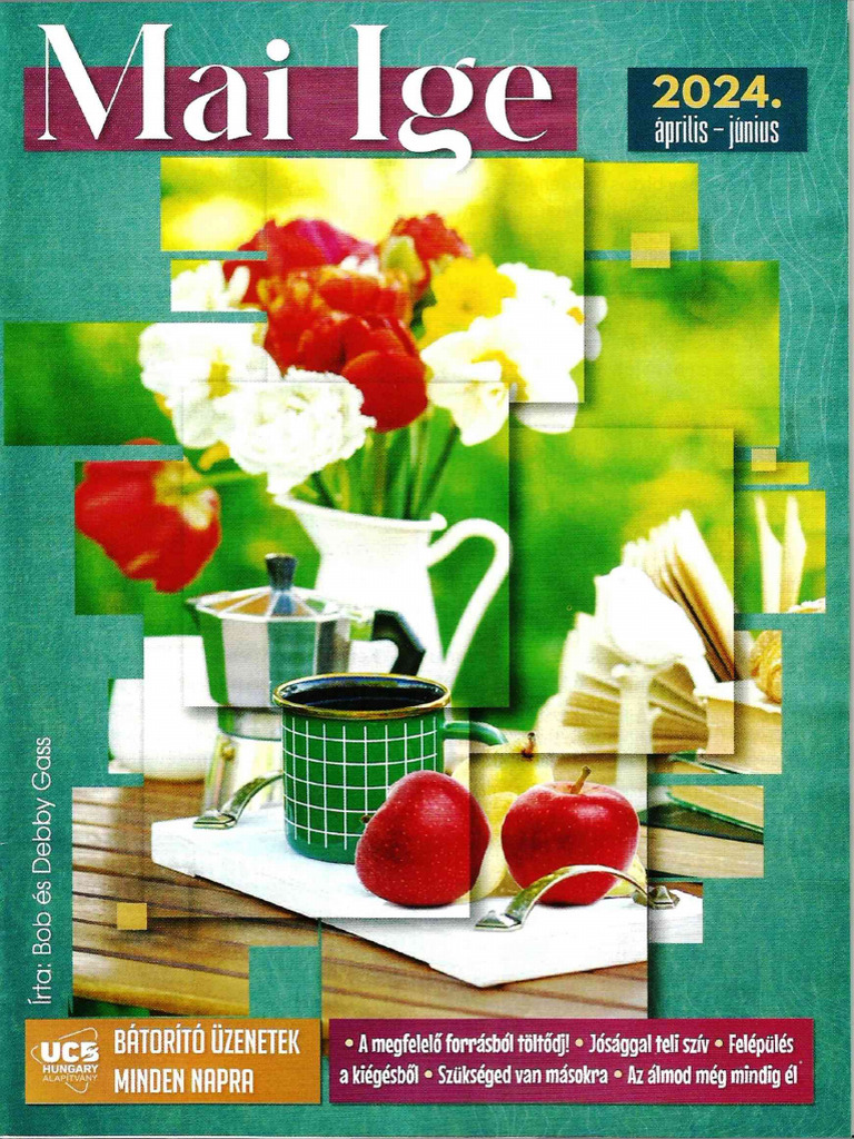 Mai IGE 2024 - 04-06 | PDF