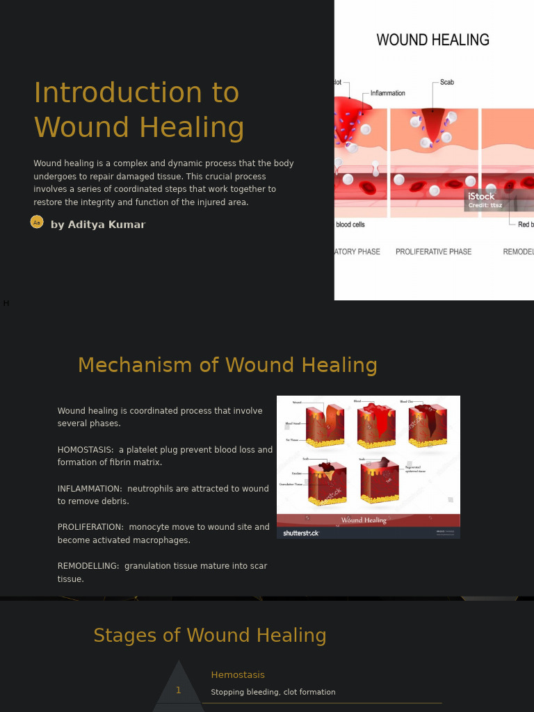 Introduction To Wound Healing Best | PDF