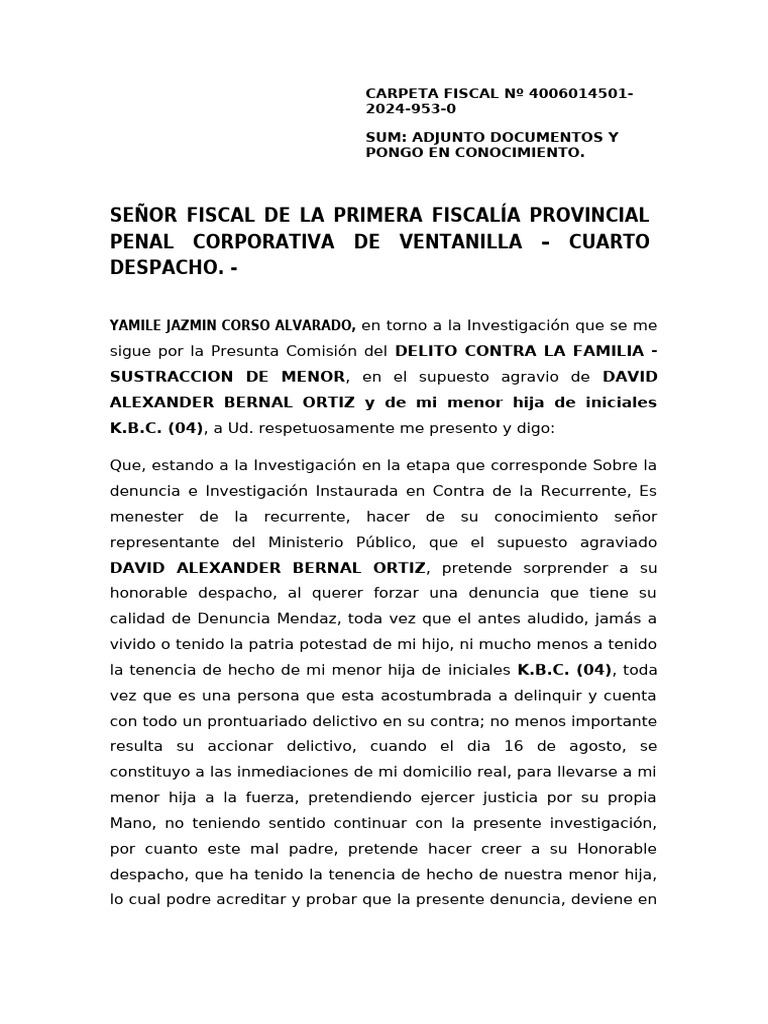 Adjunto Documentos de Prueba | PDF