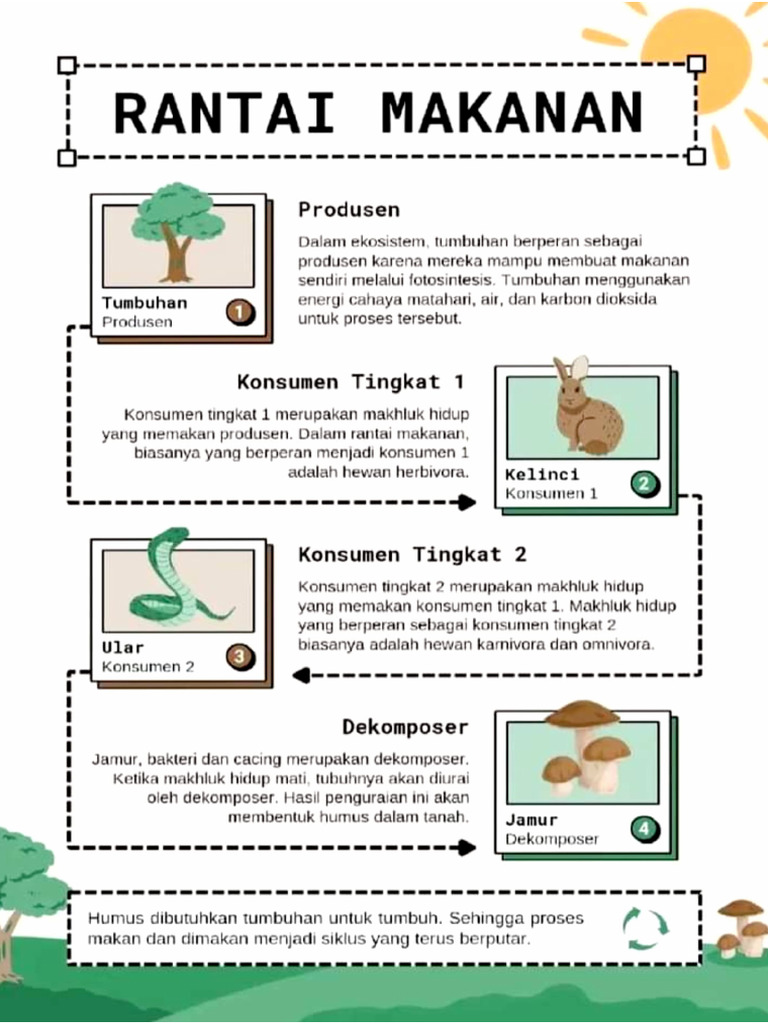 LKPD Kelas 5 Rantai Makanan | PDF