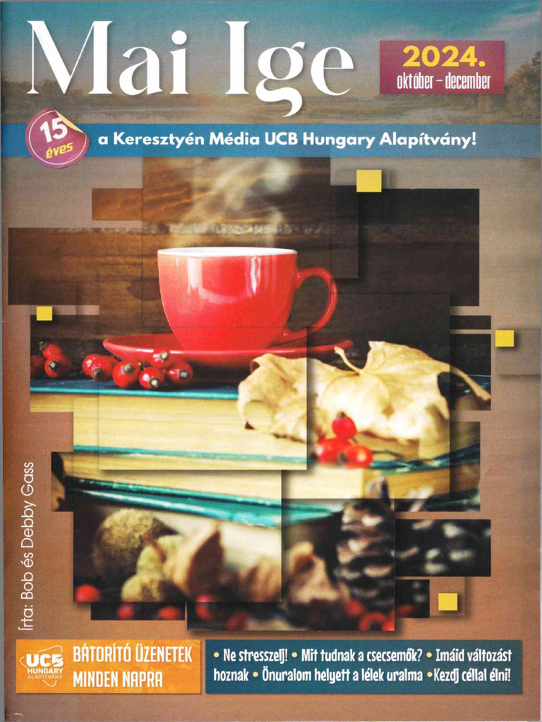 Mai IGE 2024 - 10-12 | PDF